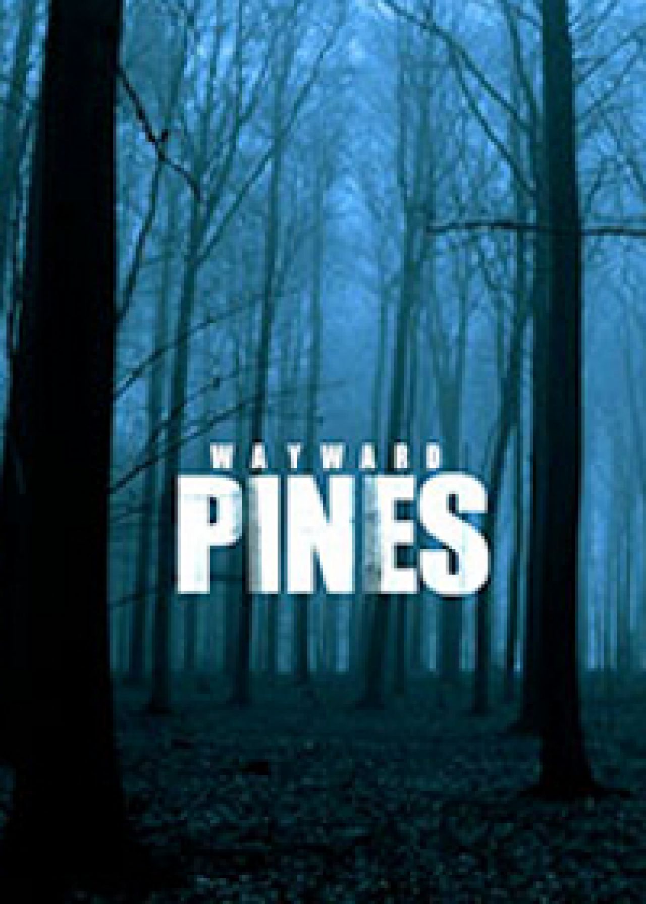 Miasteczko Wayward Pines - serial (2015) - naEKRANIE.pl
