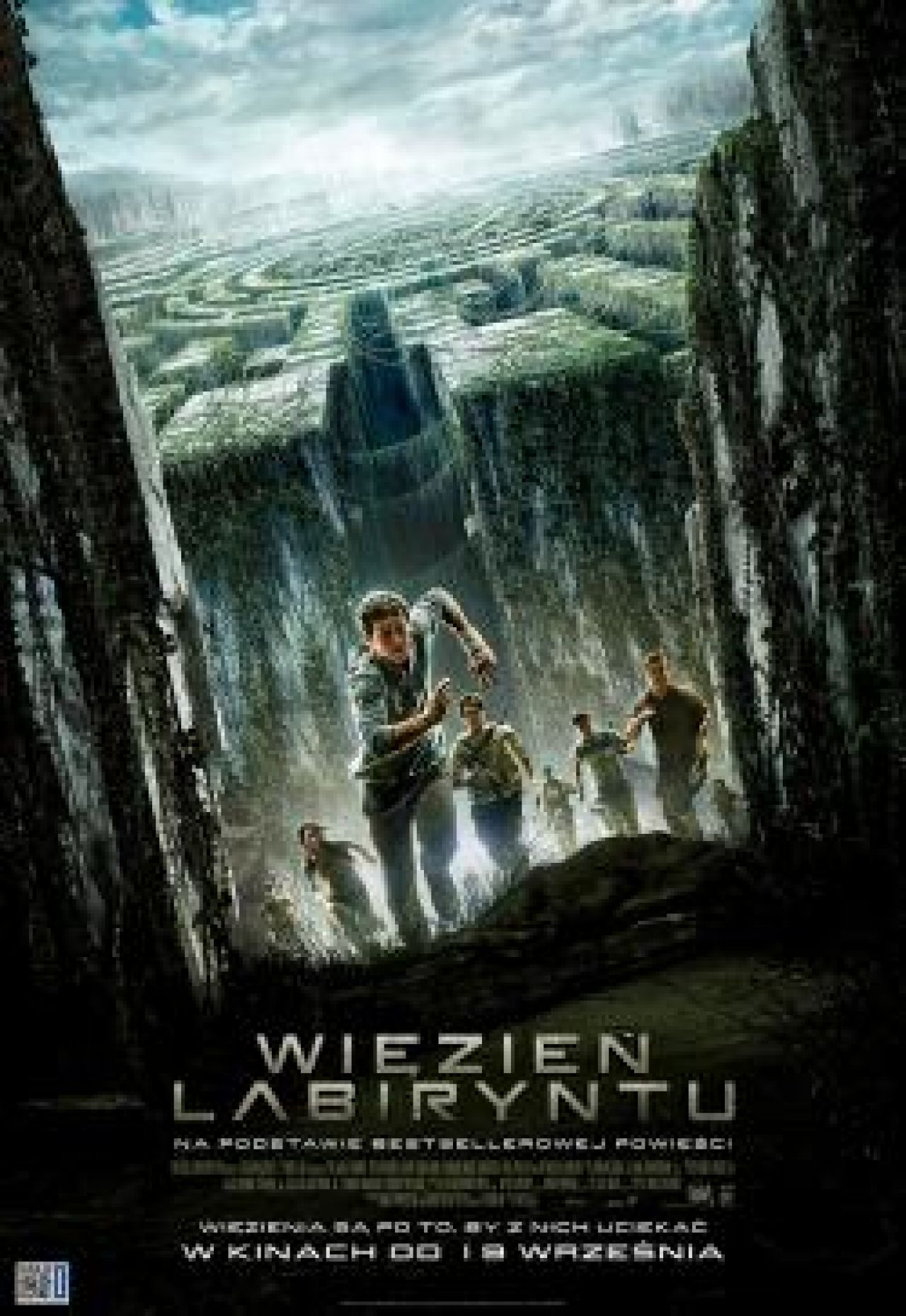 Więzień labiryntu (2014) - naEKRANIE.pl