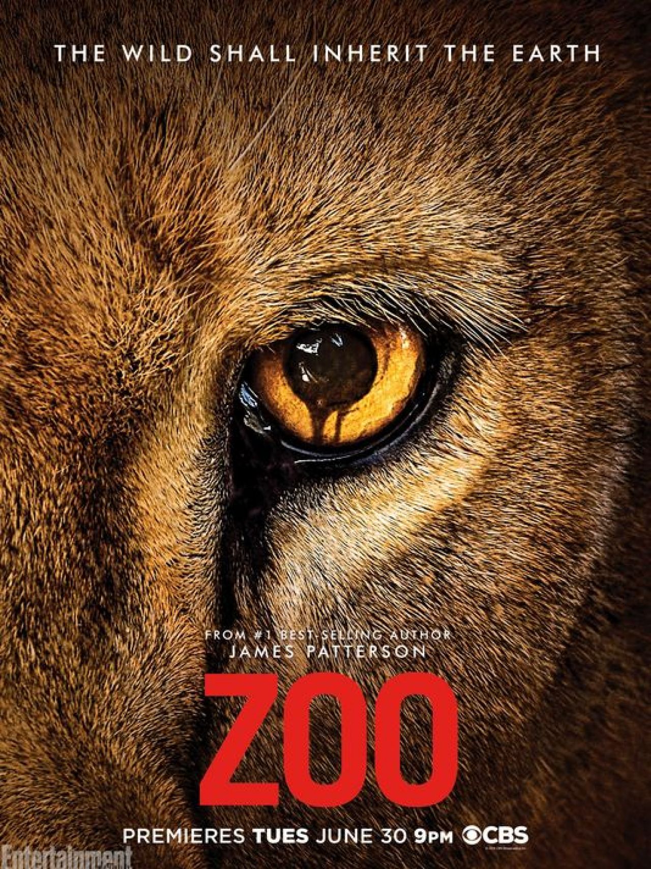 Zoo - serial (2015) - naEKRANIE.pl