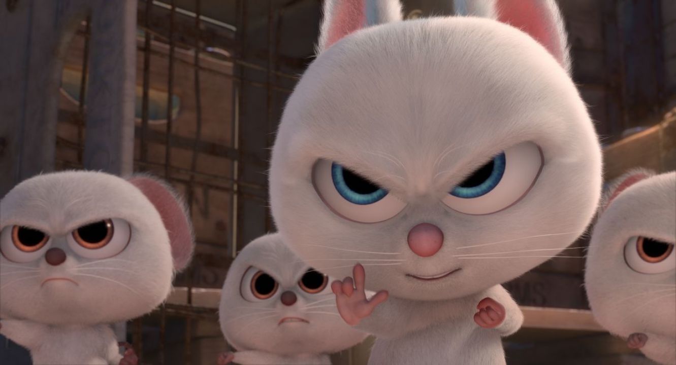 Gang Wiewióra 2 – recenzja filmu