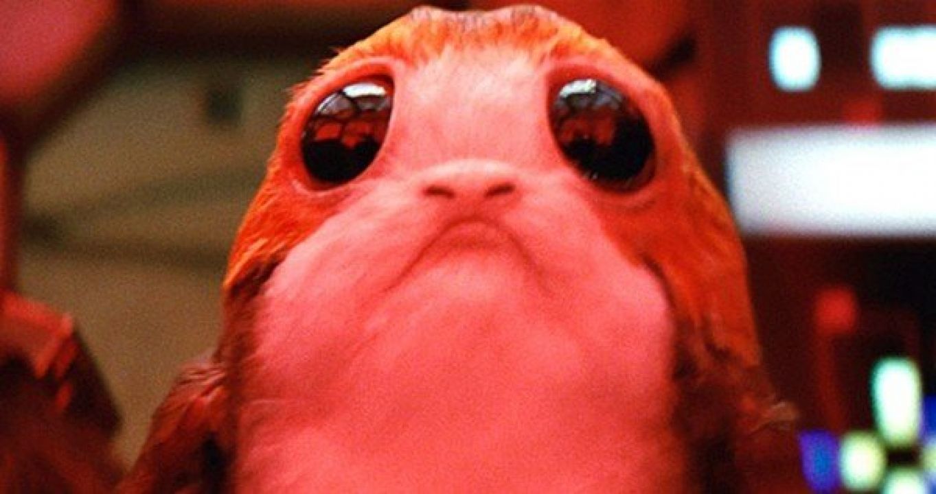 PETA wręczyła filmowe nagrody. Gwiezdne Wojny i Jumanji wśród wyróżnionych