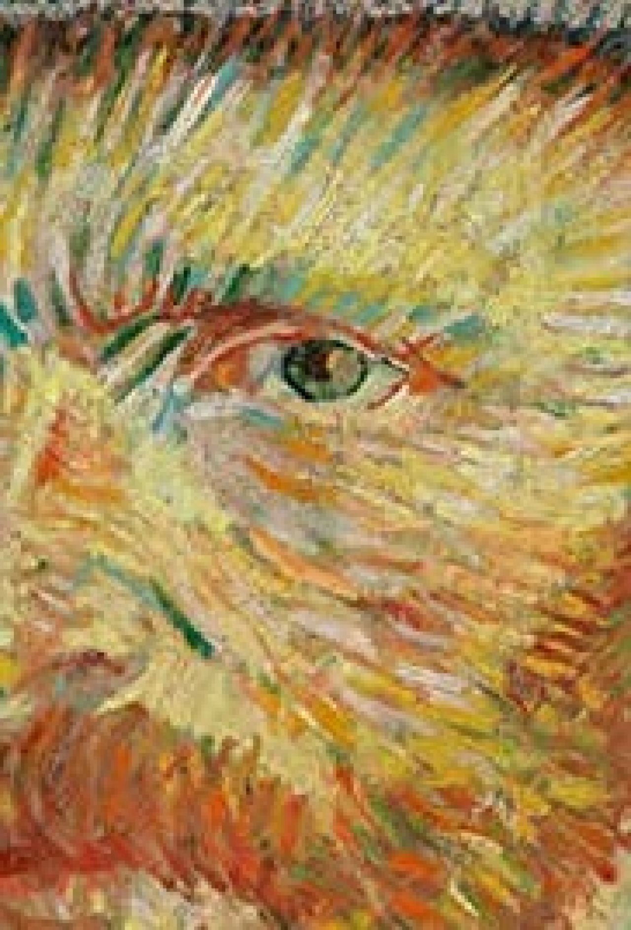 Vincent Van Gogh: A New Way of Seeing (2018) - naEKRANIE.pl