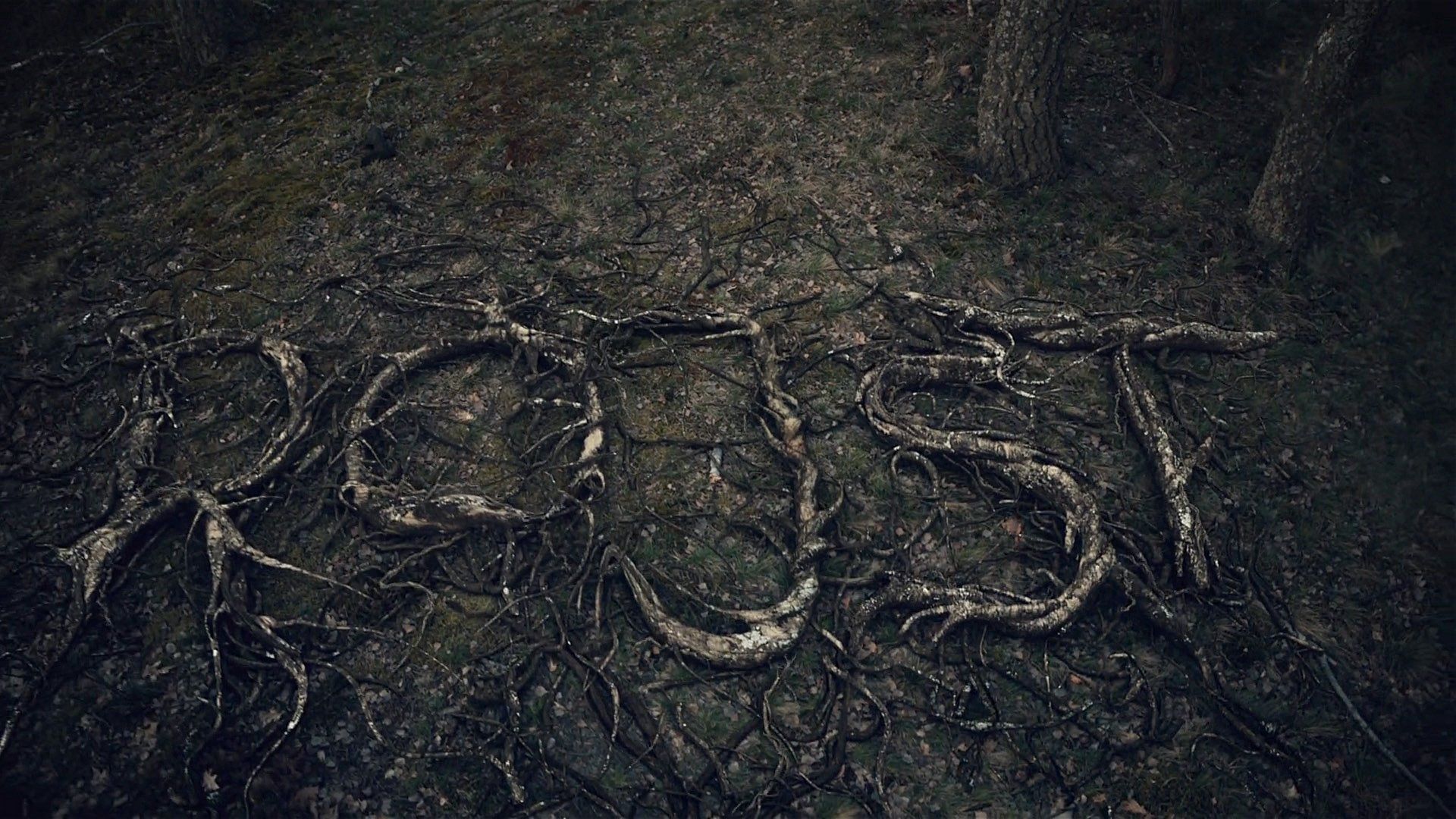 Platige Image stworzyło czołówkę do serialu Rojst. Zobacz wideo