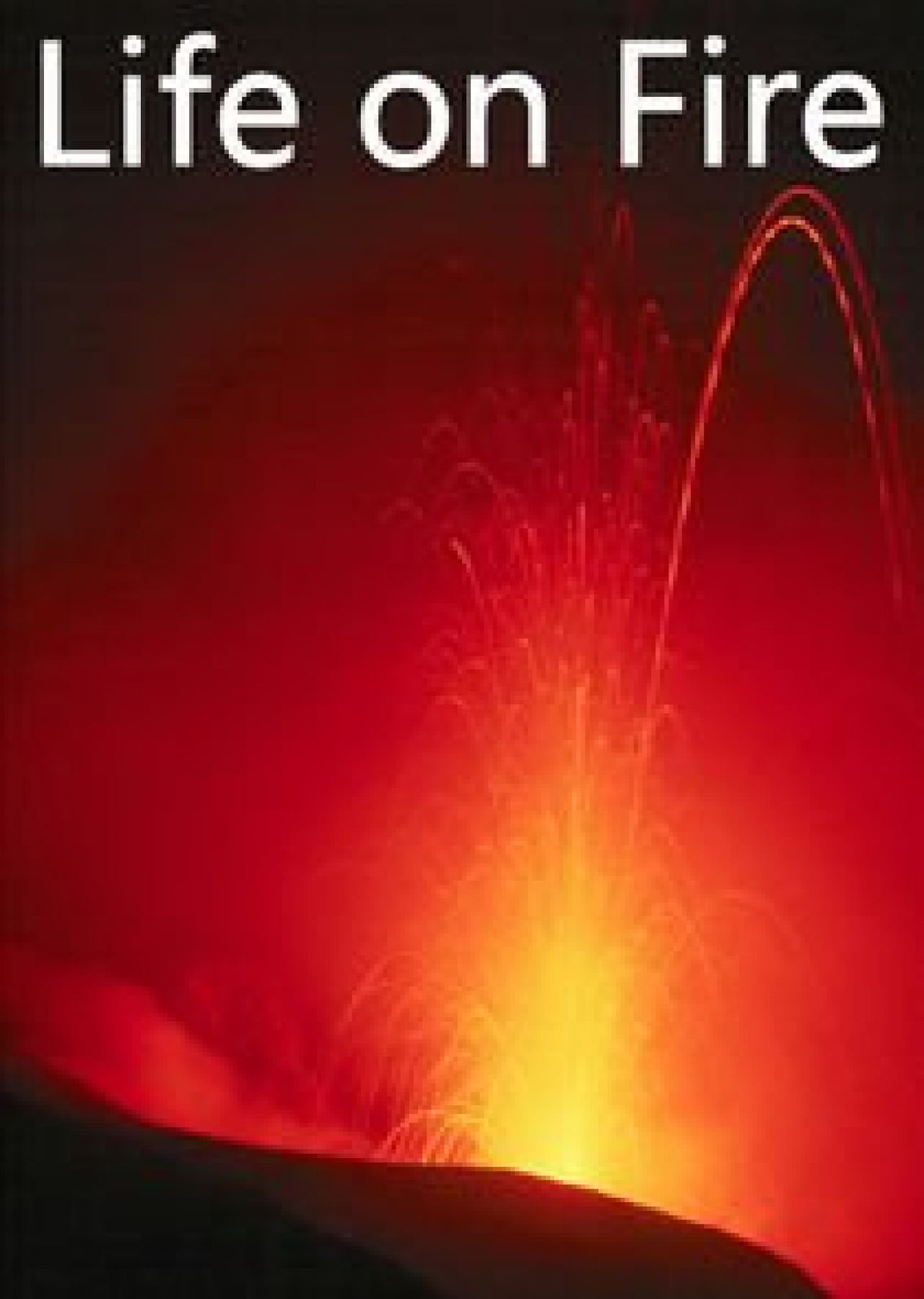 Life on Fire - serial (2010) - naEKRANIE.pl