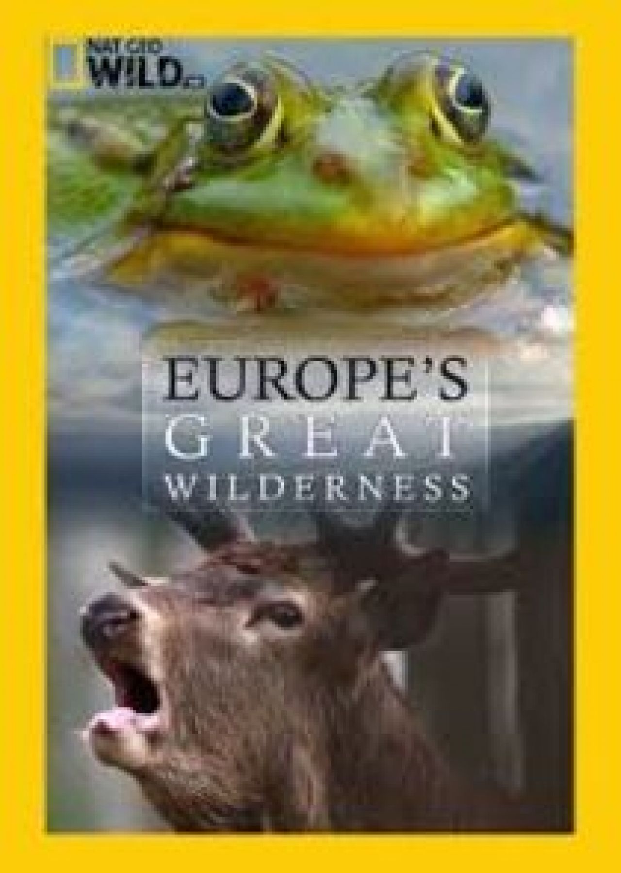 Dzika przyroda Europy - serial (2019) - naEKRANIE.pl