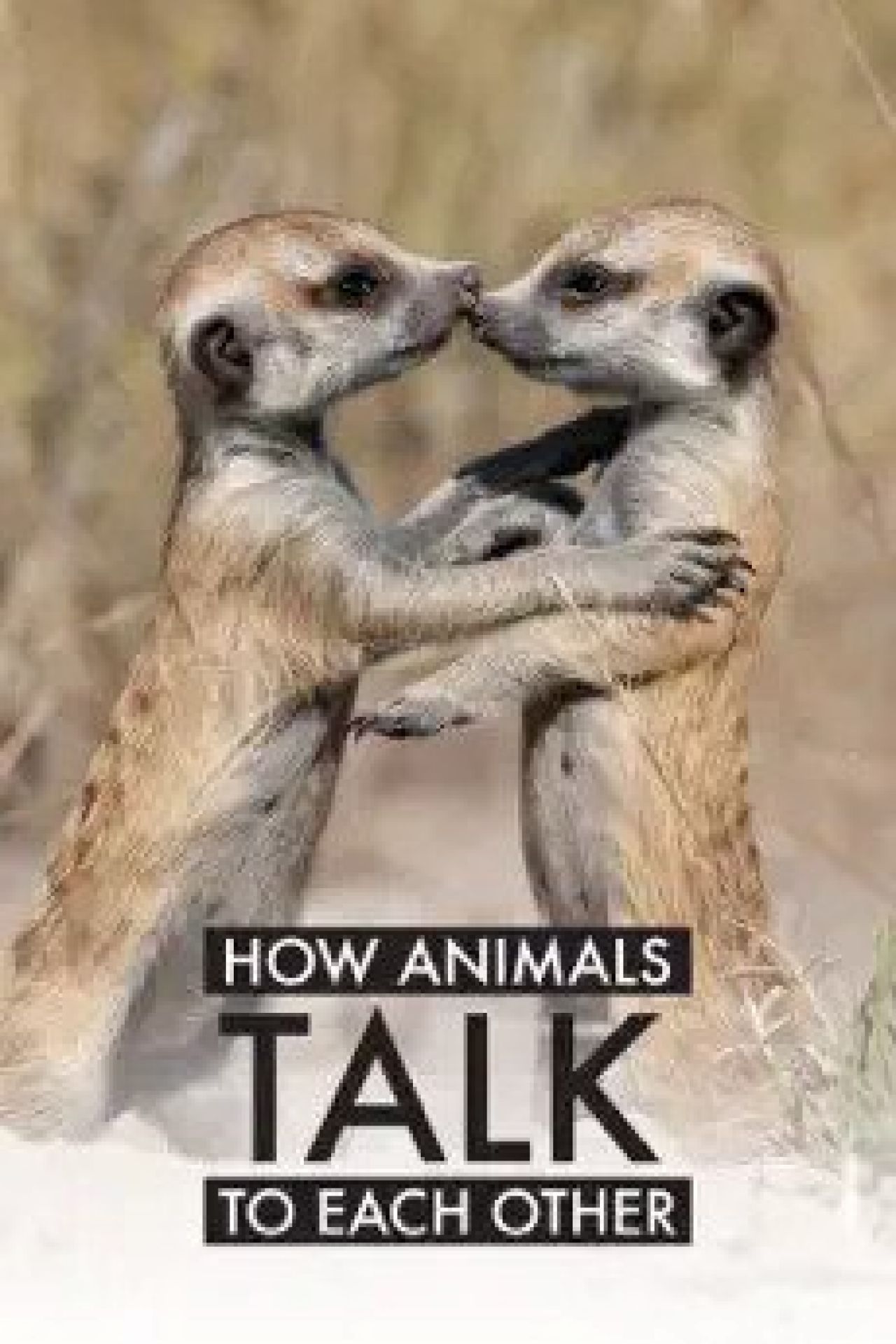 How Animals Talk To Each Other - naEKRANIE.pl