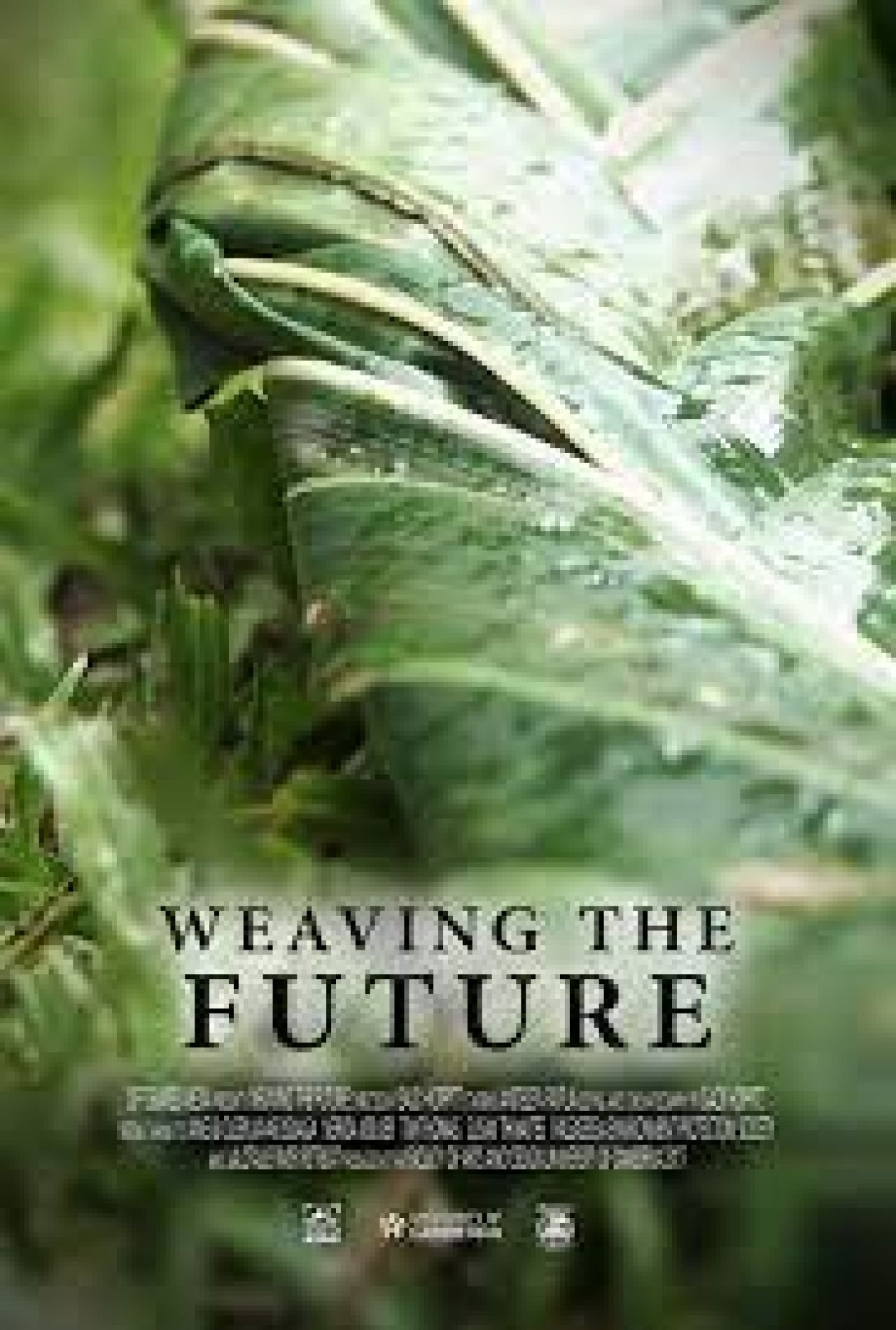 Weaving the Future (2016)