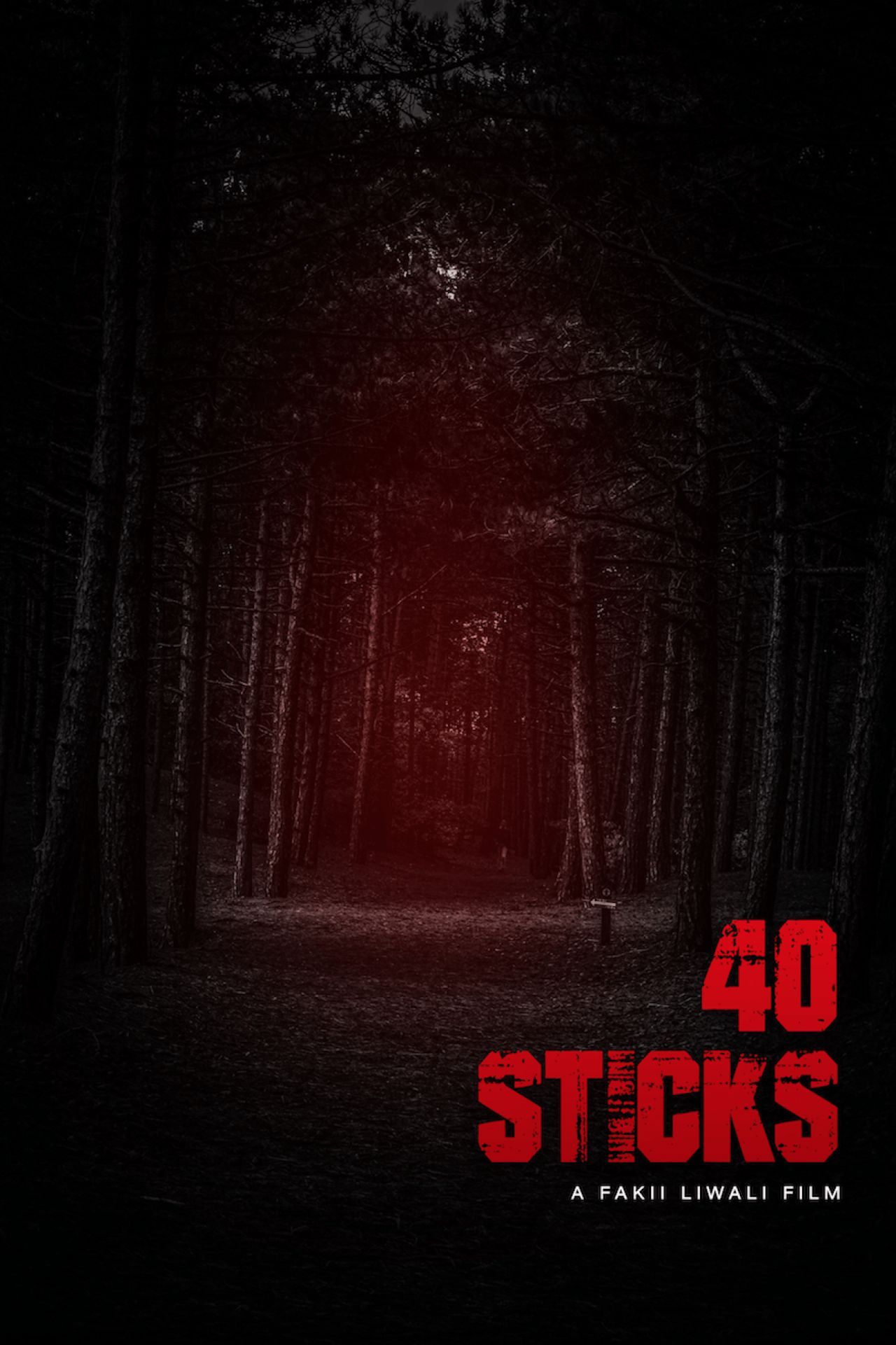 40 Sticks (2020) - naEKRANIE.pl