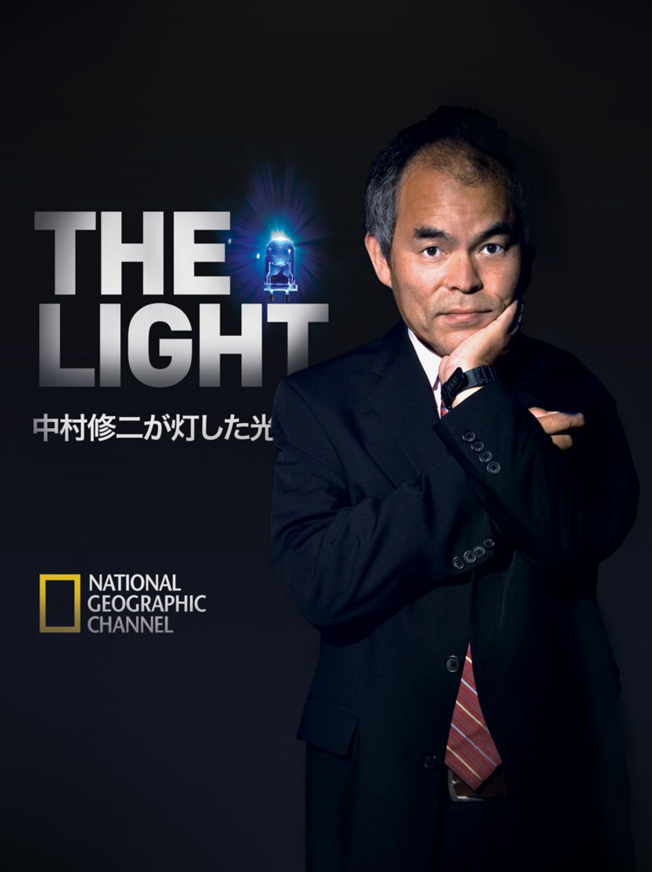 The Light illuminated by Shuji Nakamura (2015)