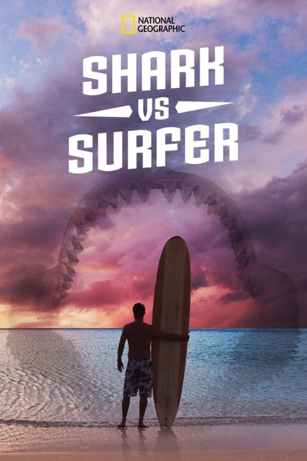 Rekin kontra surfer