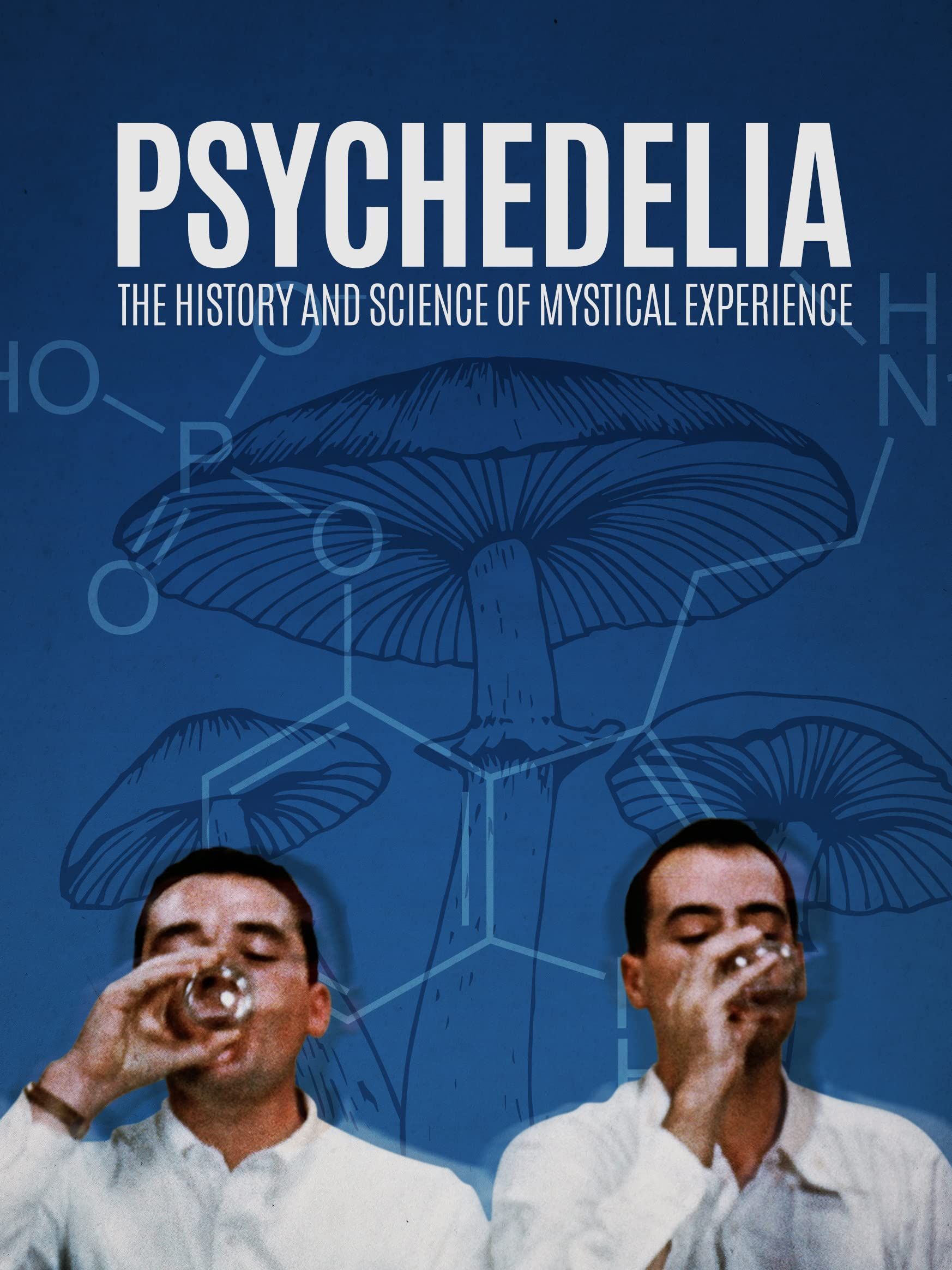 Psychedelia: The History of Science and Mystical Experience (2021 ...