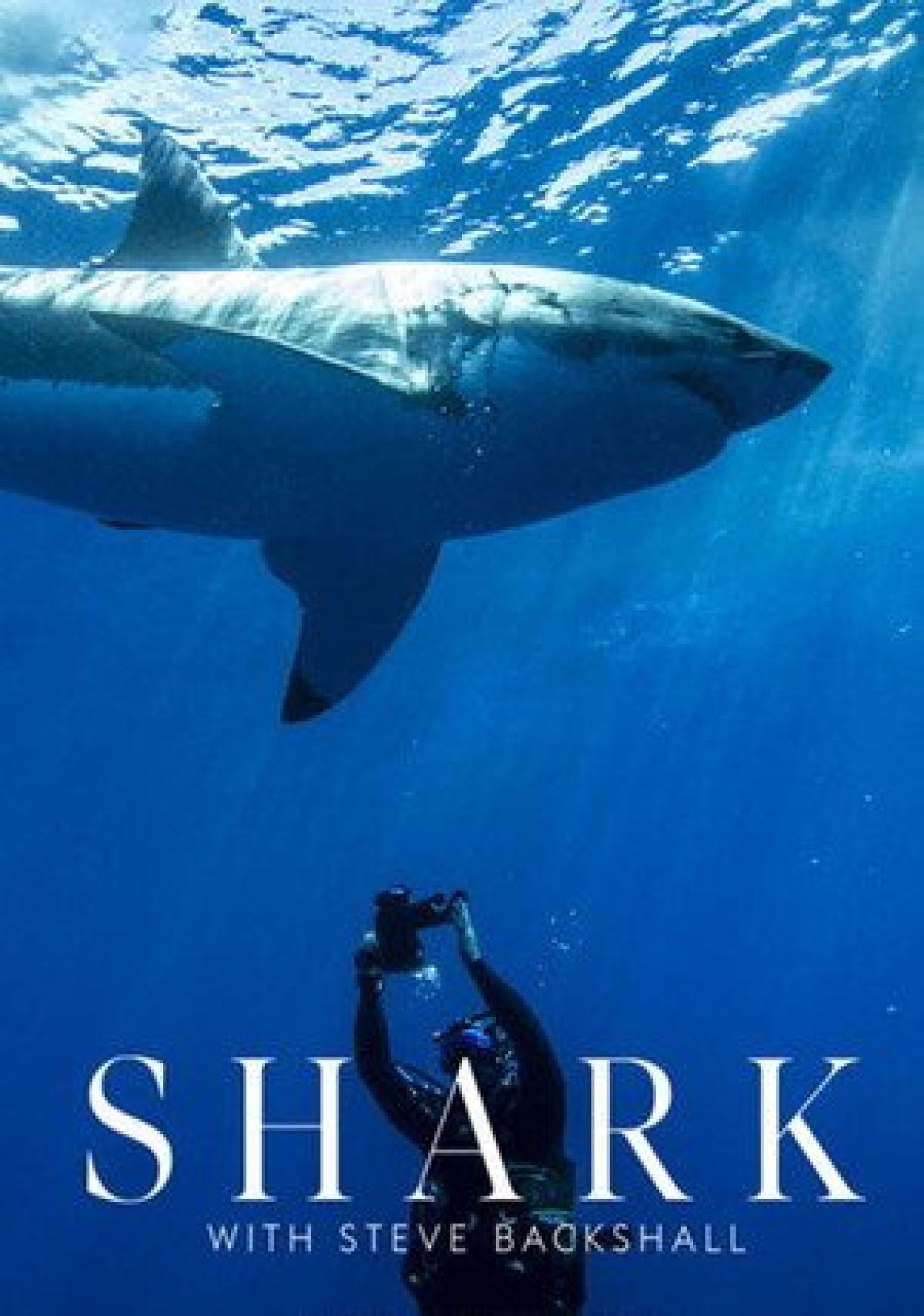 Rekiny Steve'a Backshalla - serial (2021) - naEKRANIE.pl