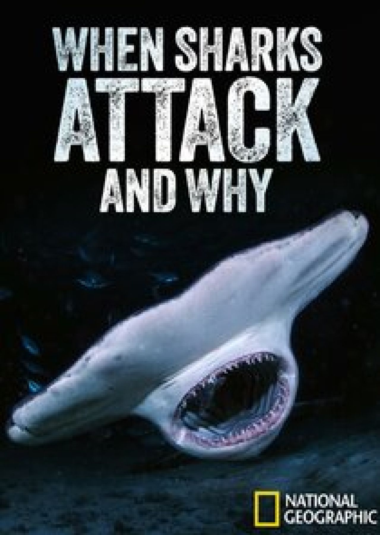 When Sharks Attack... And Why - serial (2023)