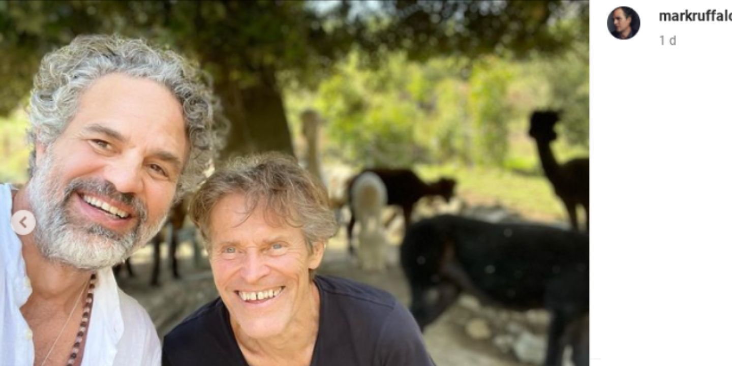 Mark Ruffalo i Willem Dafoe na farmie lam. Aktorzy filmu Biedne istoty ...