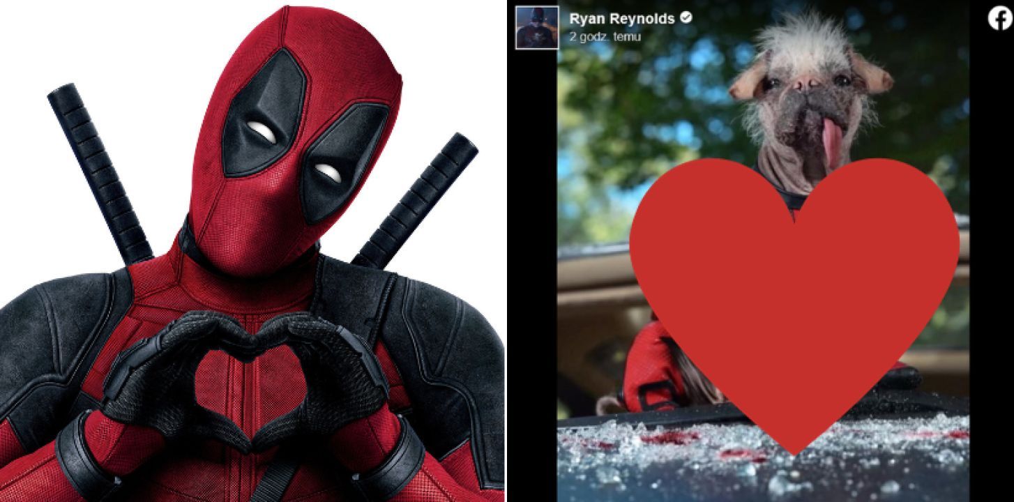 Ryan Reynolds pokazał... Dogpoola. Pojawi się w filmie Deadpool 3