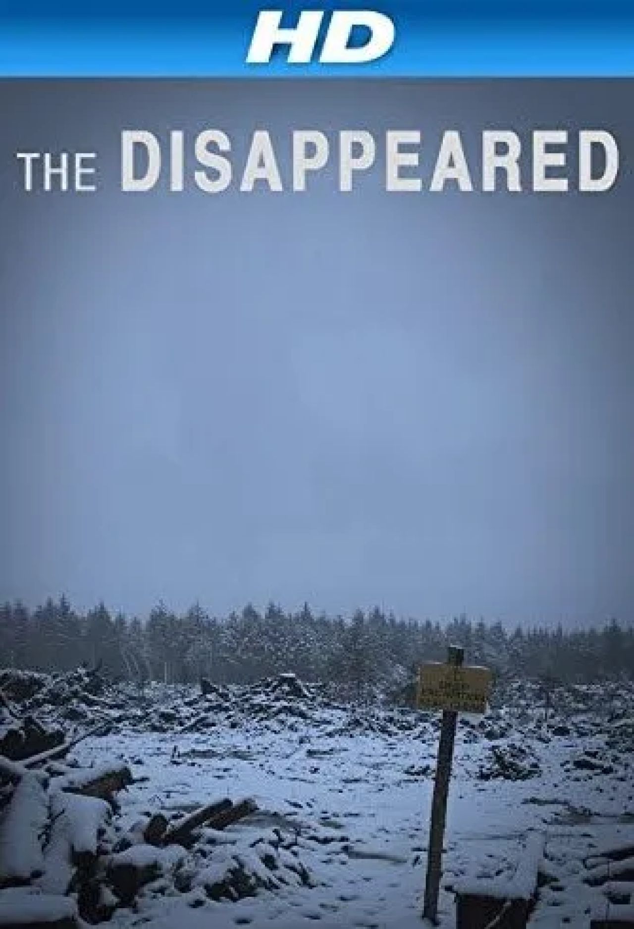 The Disappeared (2013)