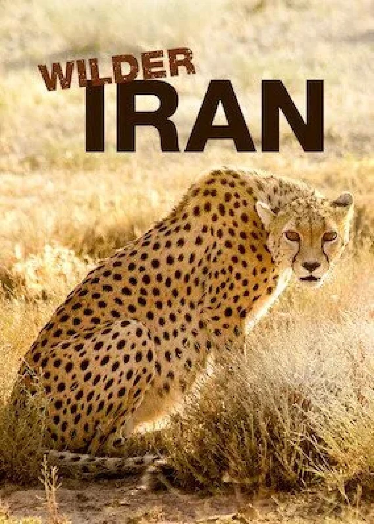 Dziki Iran - serial (2012) - naEKRANIE.pl