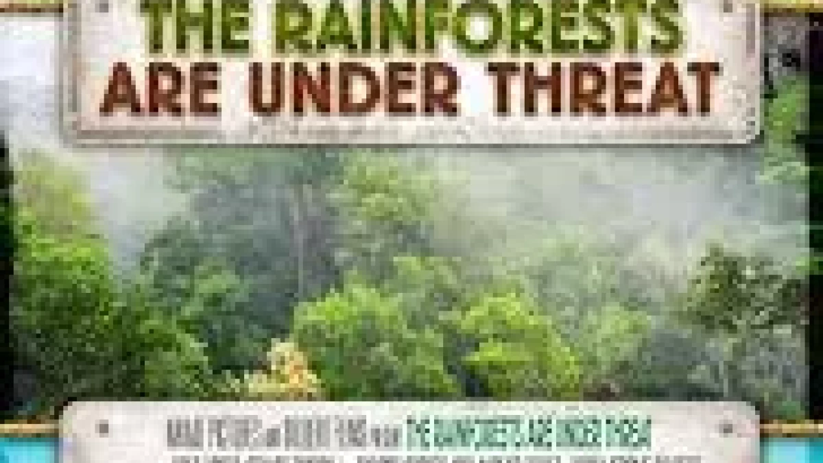 The Rainforests Are Under Threat (2015) - naEKRANIE.pl