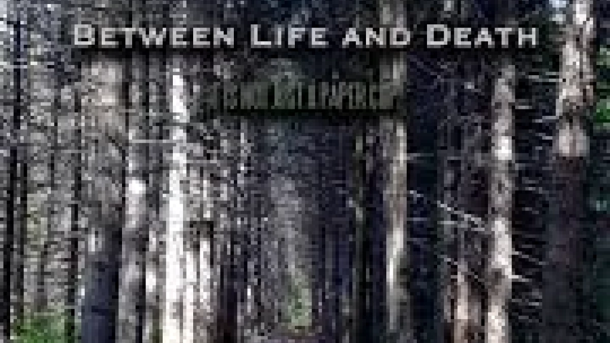 Between Life and Death (2016)