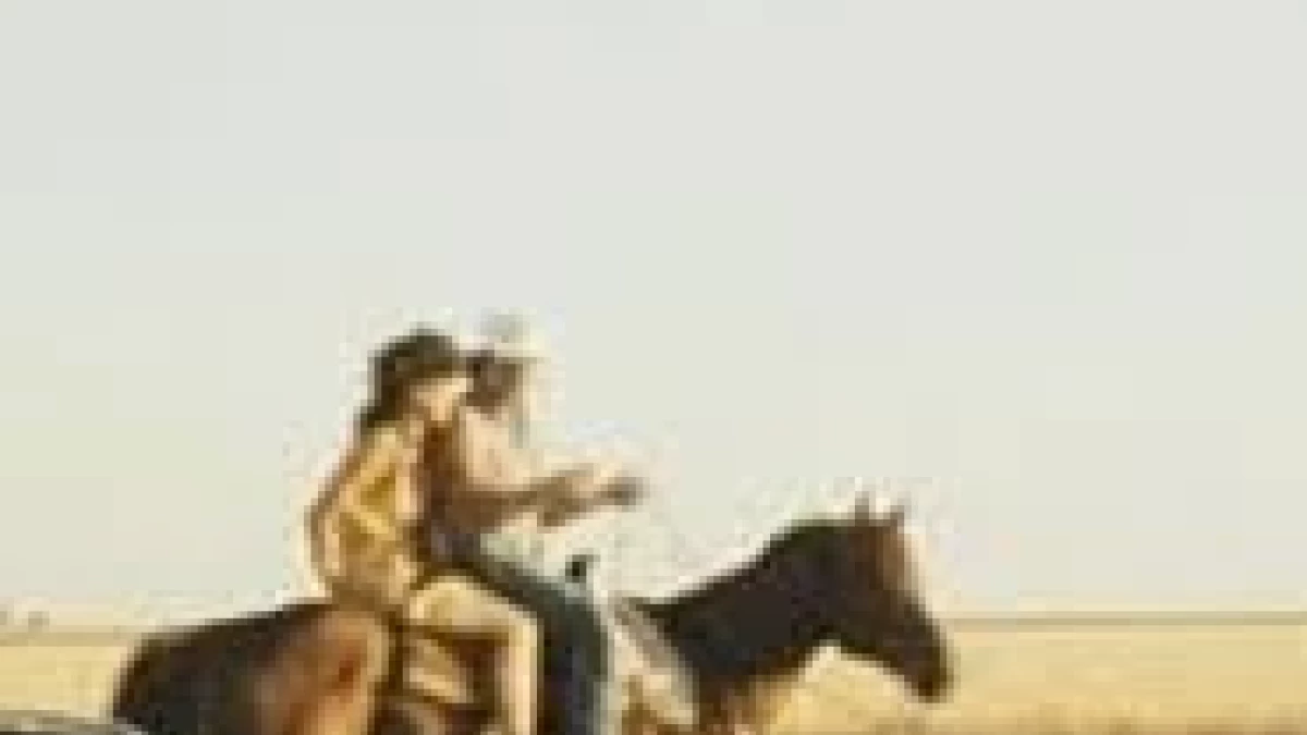 Die Cadillac Ranch Geschichte (1985) - naEKRANIE.pl