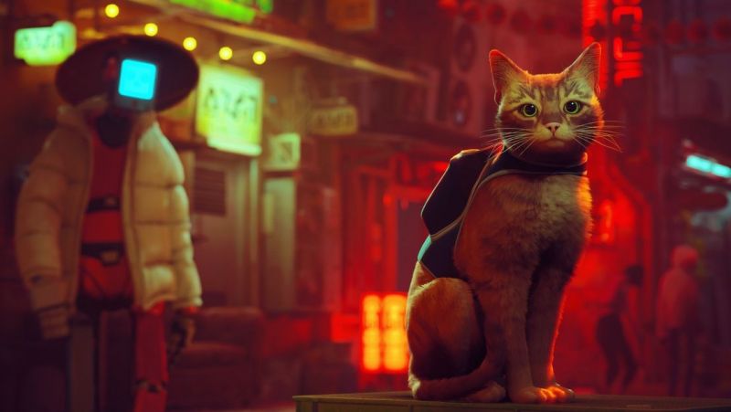 Stray - mały kot w wielkim mieście. Zobaczcie fragmenty rozgrywki z ...