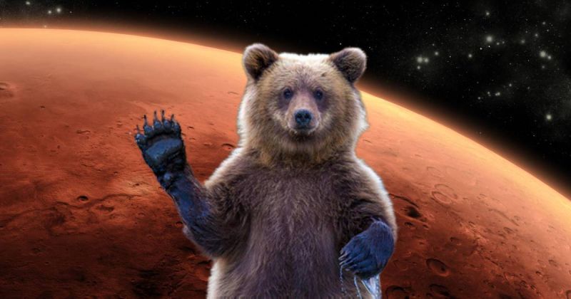 NASA znalazła na Marsie... uroczego misia. Takich "sensacji" kosmos ...