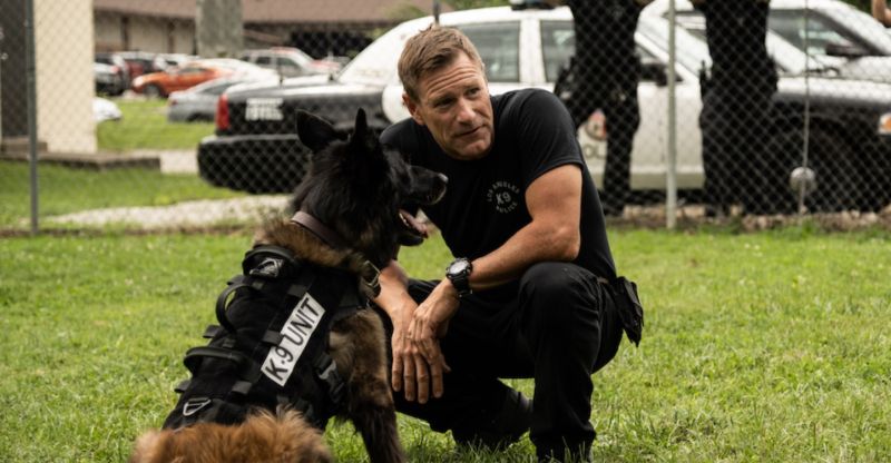 Muzzle - recenzja filmu