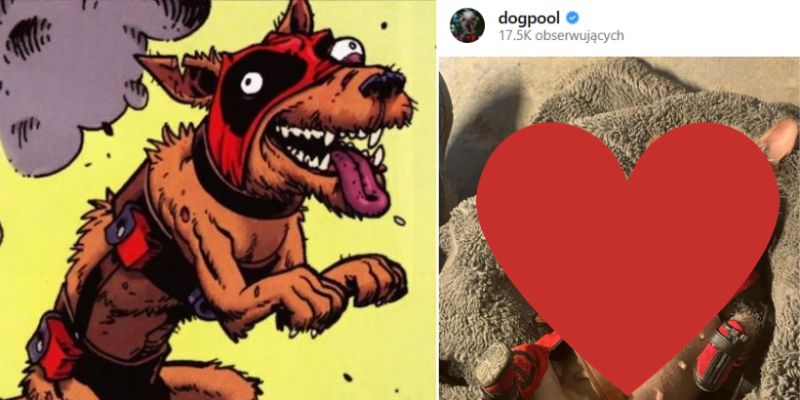 Deadpool 3: Dogpool na nowym zdjęciu. Tak relaksuje się na planie
