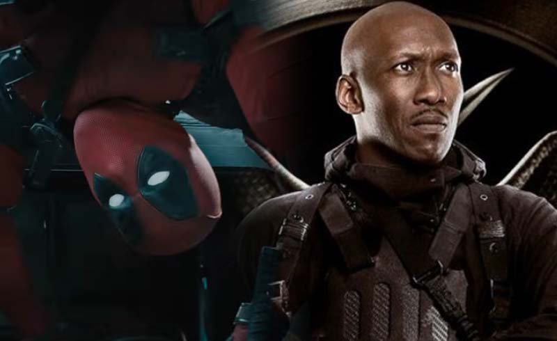 Czy Deadpool i Blade muszą mieć wysoką kategorię wiekową w MCU?