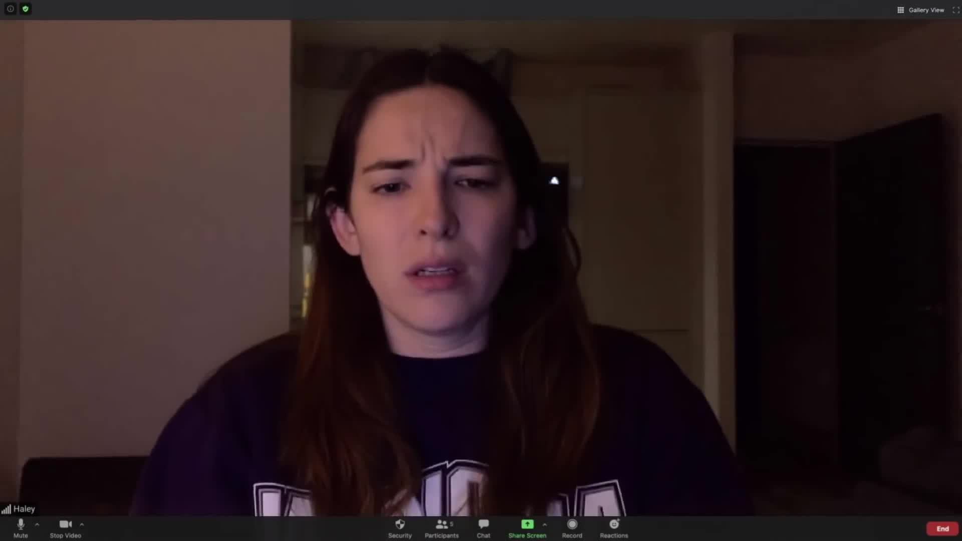 Host (2020) - naEKRANIE.pl