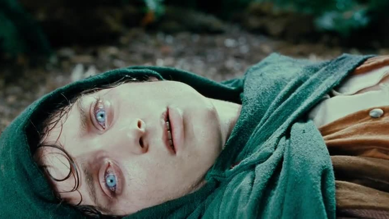 Władca Pierścieni: nowy gatunek ryby został nazwany na cześć Frodo ...