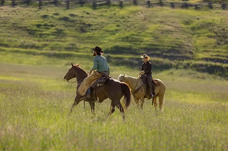 Yellowstone Sezon 5 Odcinek 3 Recenzja